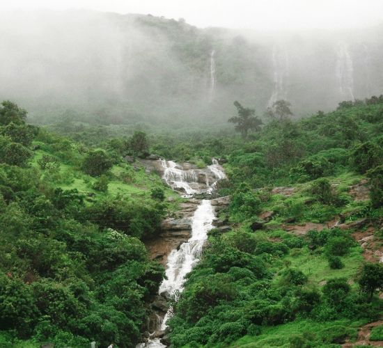 Top 15 Highest Waterfalls in India (Latest 2025 List)